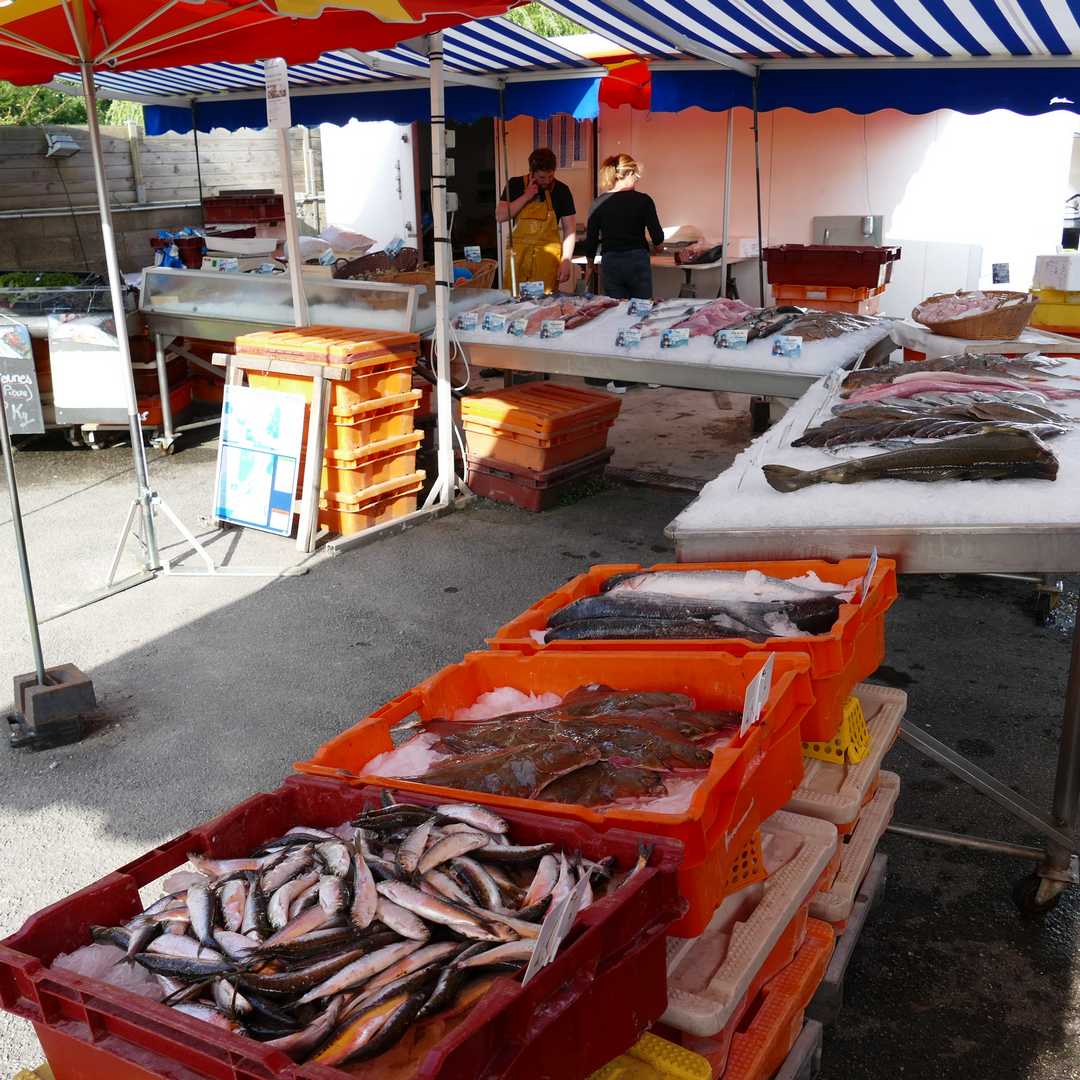 Poissonnerie Les Fils de la Mer | Ce que la mer a de meilleur